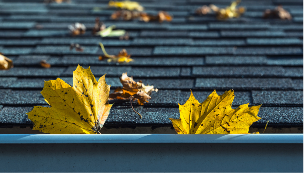 How To Prepare Your Commercial Roof for Fall | Rhino Roofing ...